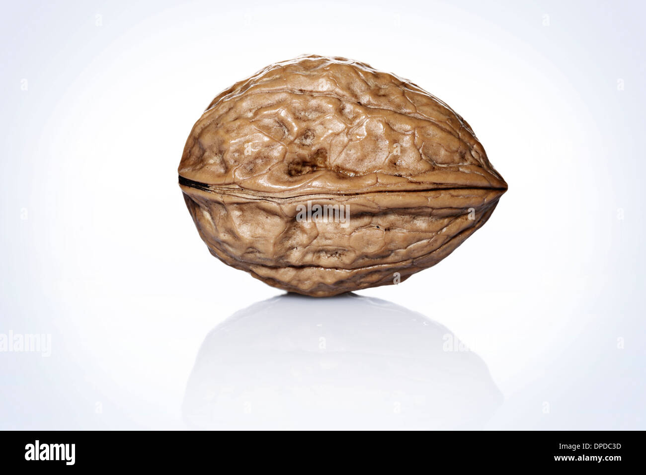 Walnut with shell hi-res stock photography and images - Alamy