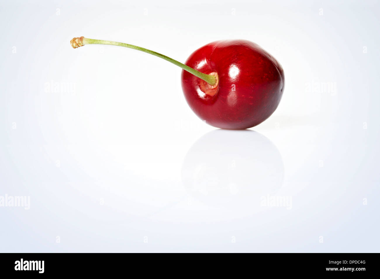 Single cherry with stem Stock Photo - Alamy