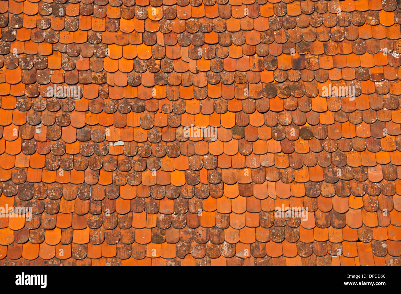 Part of a roof with beaver tail tiles Stock Photo - Alamy