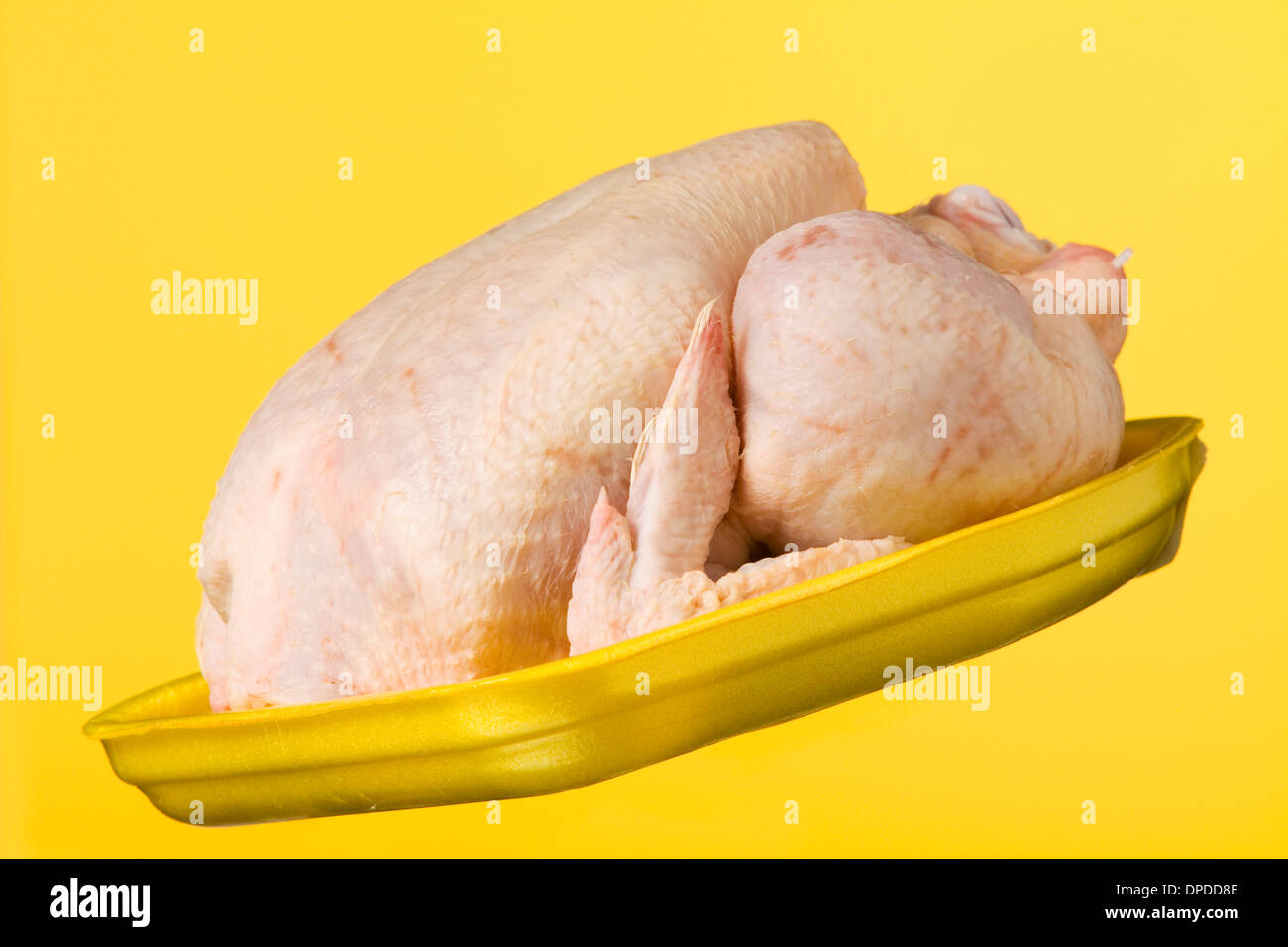 Plastic chicken hi-res stock photography and images - Alamy