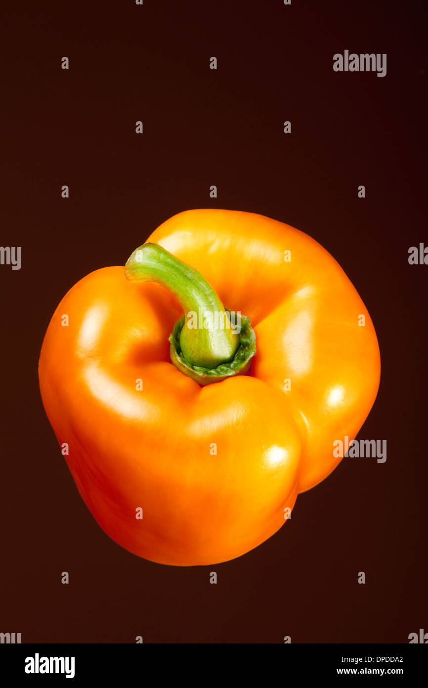 Orange bell pepper (Capsicum), studio shot Stock Photo - Alamy