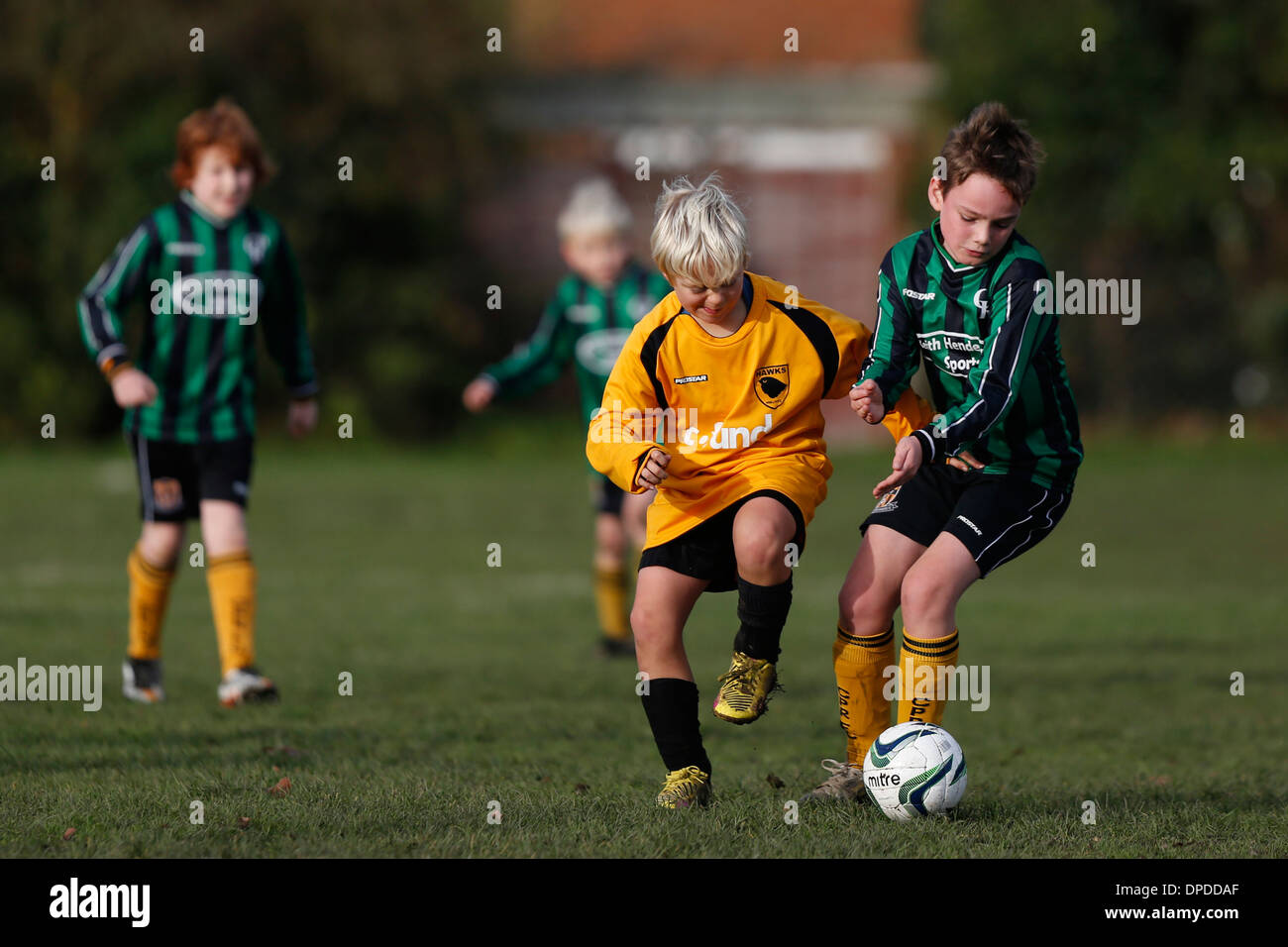Hartley Wintney Falcons junior football team (yellow) play Curley Park ...