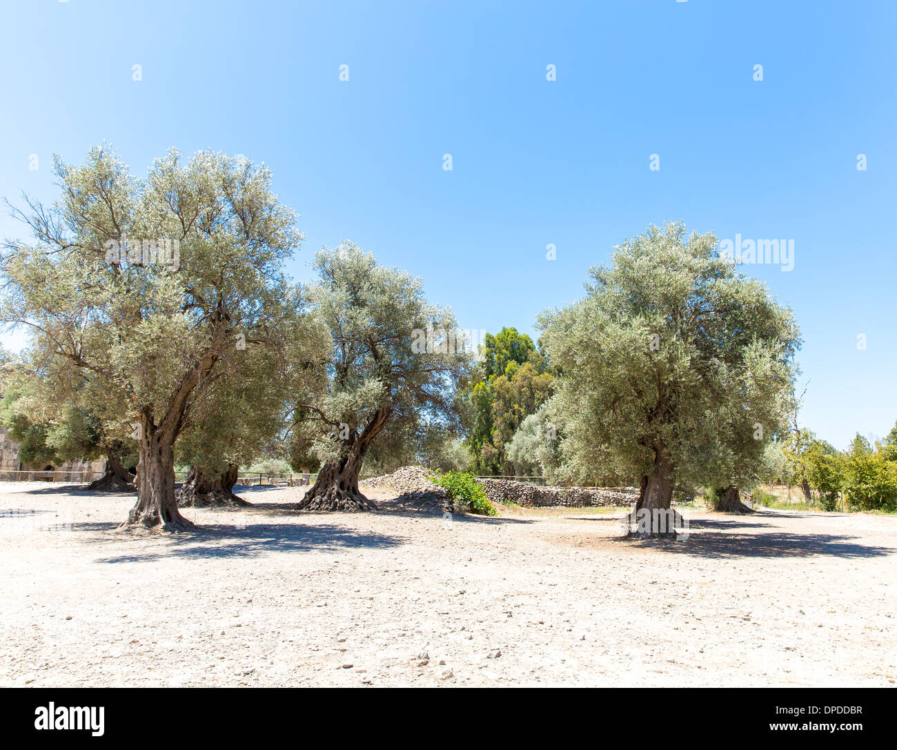 Monastery (friary) in Messara Valley at Crete island in Greece. Messara ...