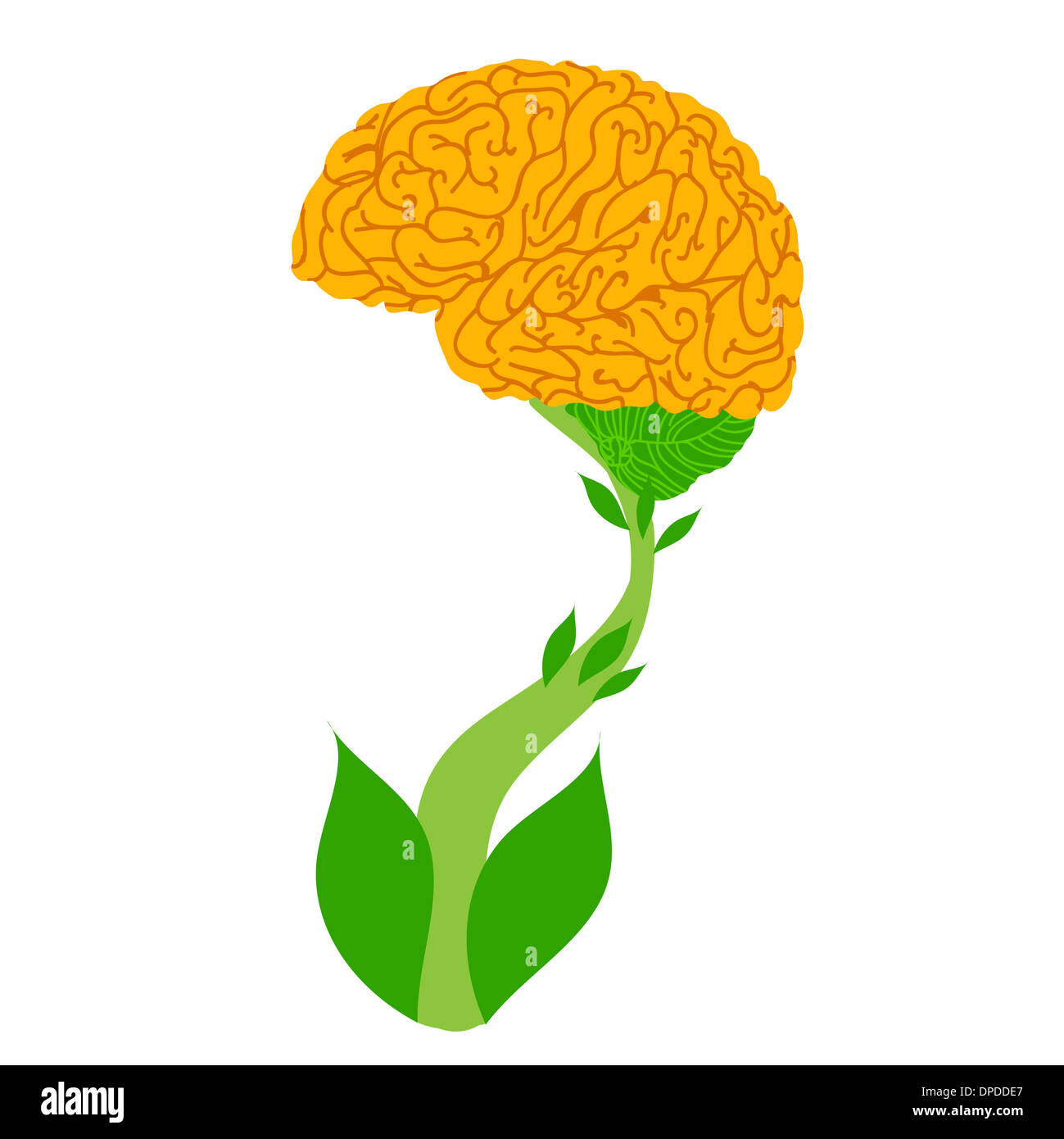 Brain Tree conceptual illustration of the growing brain blossoms Stock ...