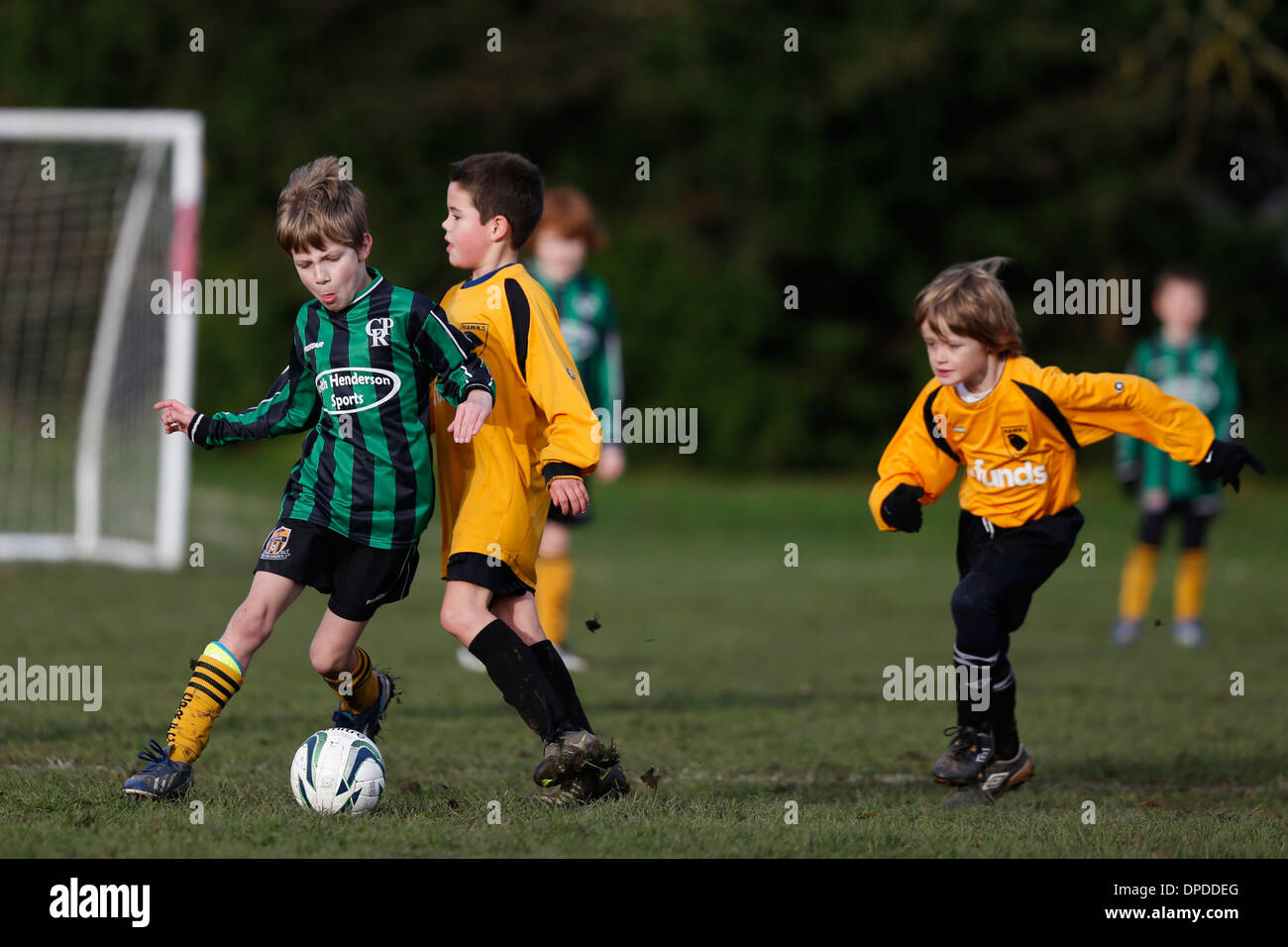 Hartley Wintney Falcons junior football team (yellow) play Curley Park ...