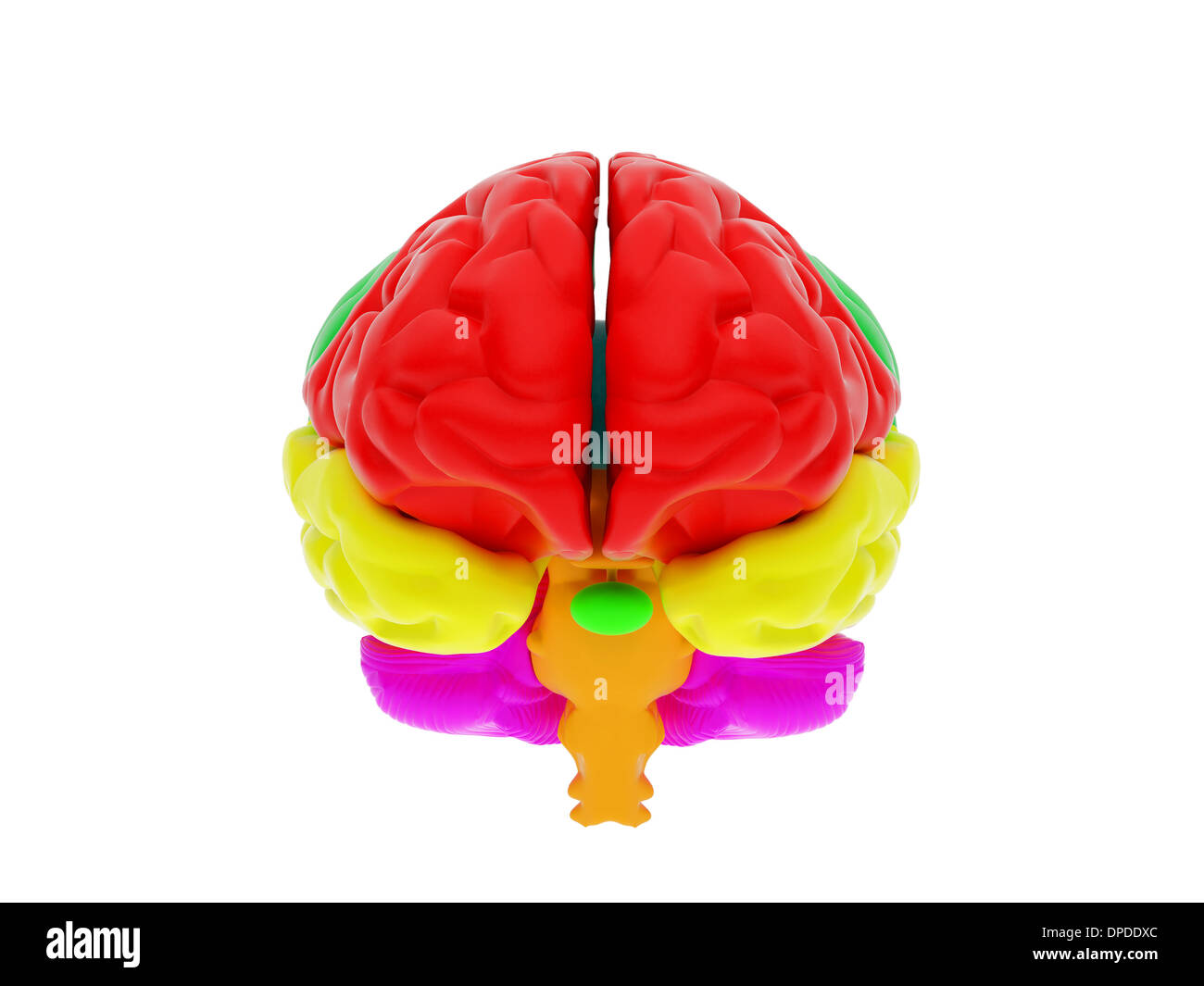 High resolution image. 3d rendered illustration. 3d human brain Stock ...