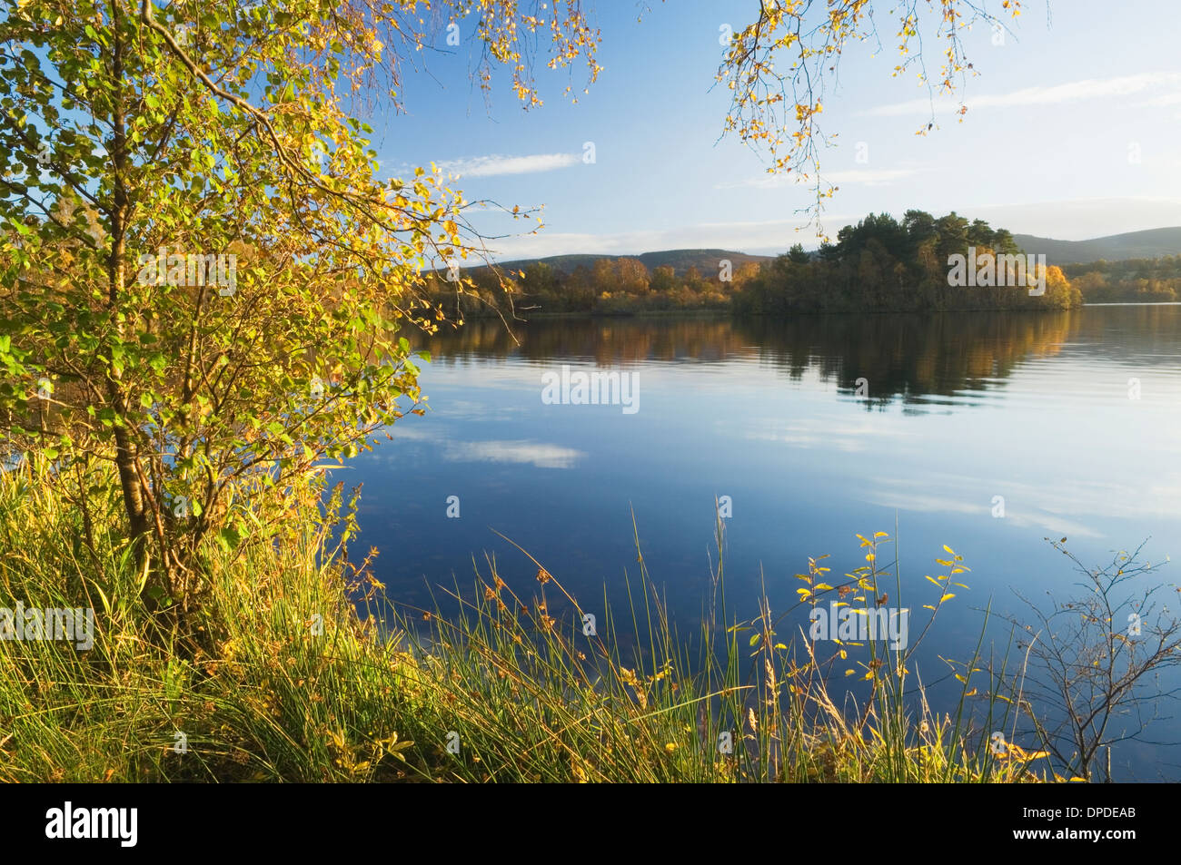 Loch Kinord - in the Muir of Dinnet National Nature Reserve, Deeside ...