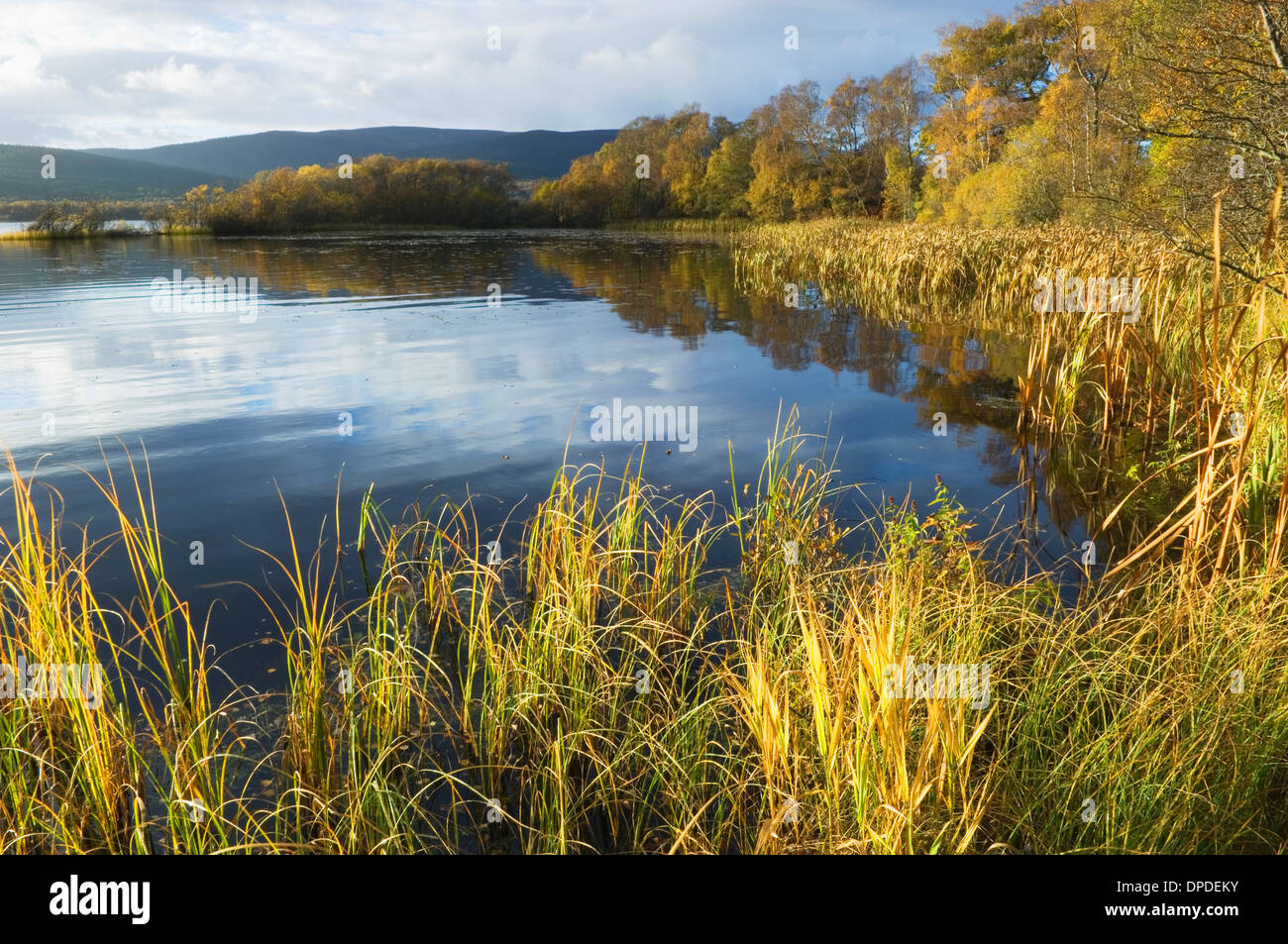 Loch Kinord - in the Muir of Dinnet National Nature Reserve, Deeside ...