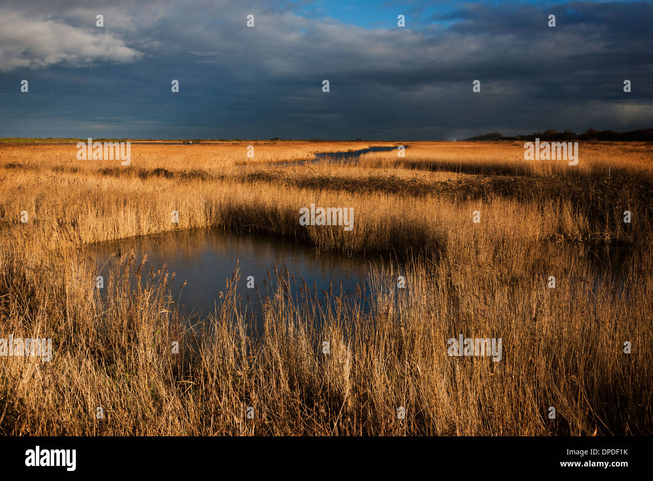 Landscape view of Titchwell Marsh RSPB nature reserve in Winter, North ...