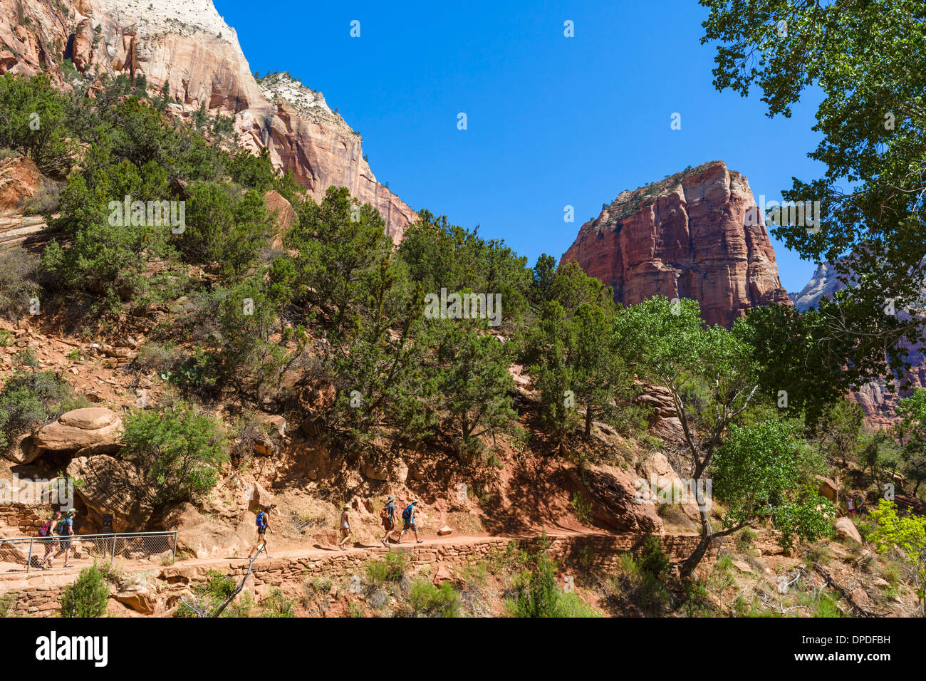 Walkers on the West Rim Trail at the Grotto Trailhead, Zion Canyon ...