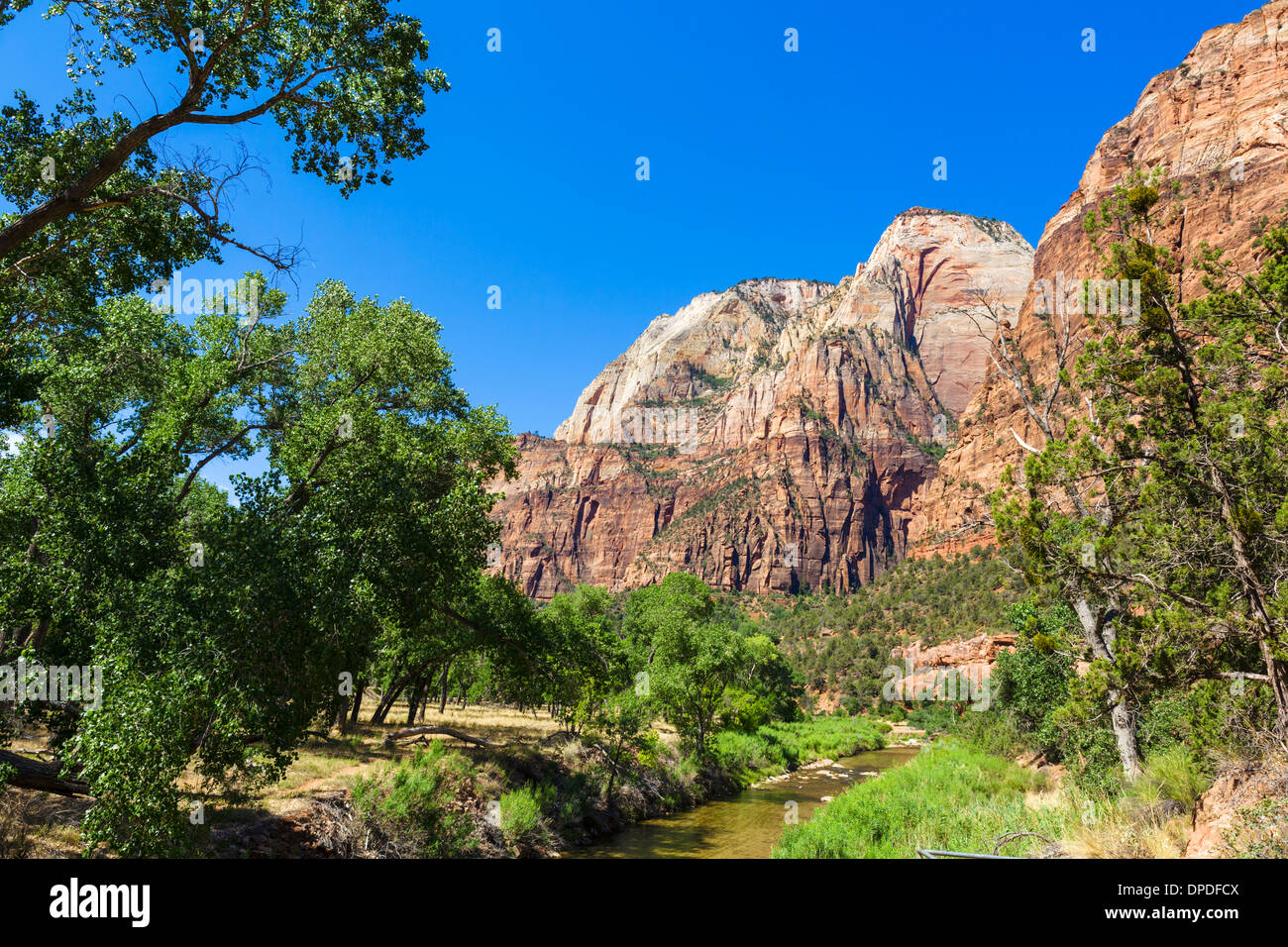 The Virgin River at the Grotto Trailhead, Zion Canyon, Zion National ...