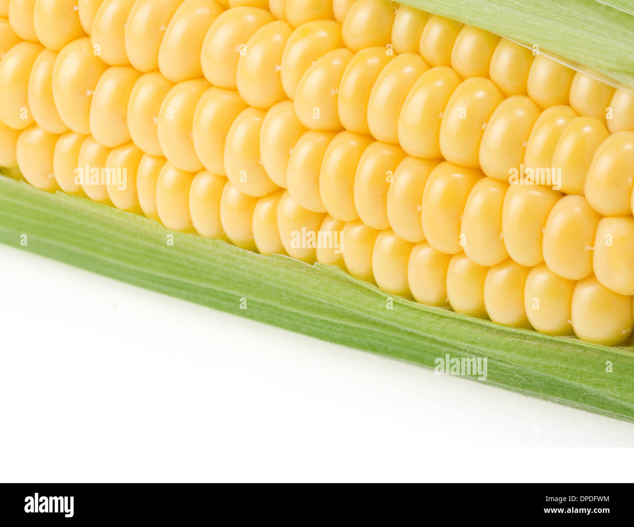ripe yellow corn isolated on white background Stock Photo - Alamy