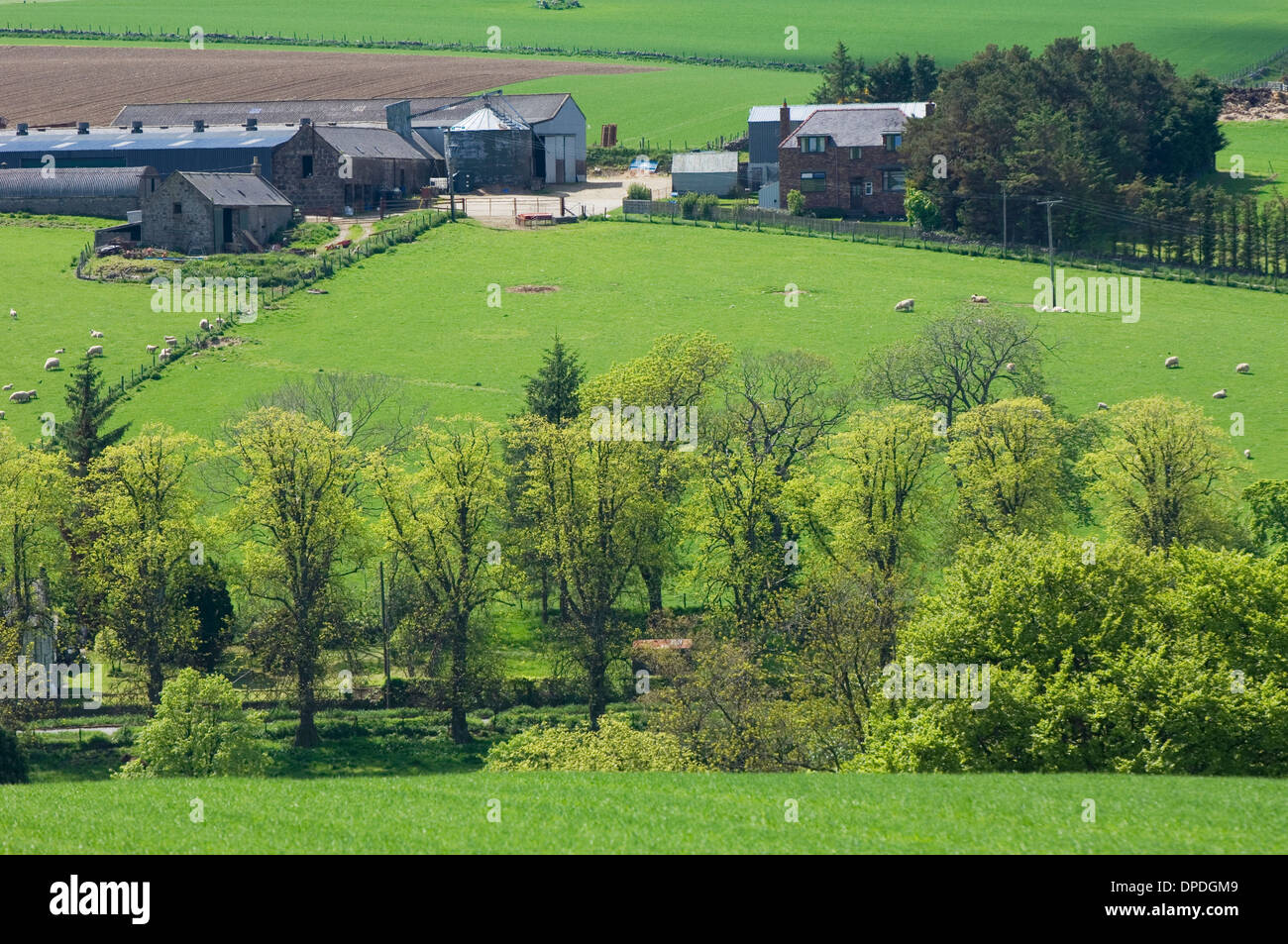 Forgue hi-res stock photography and images - Alamy