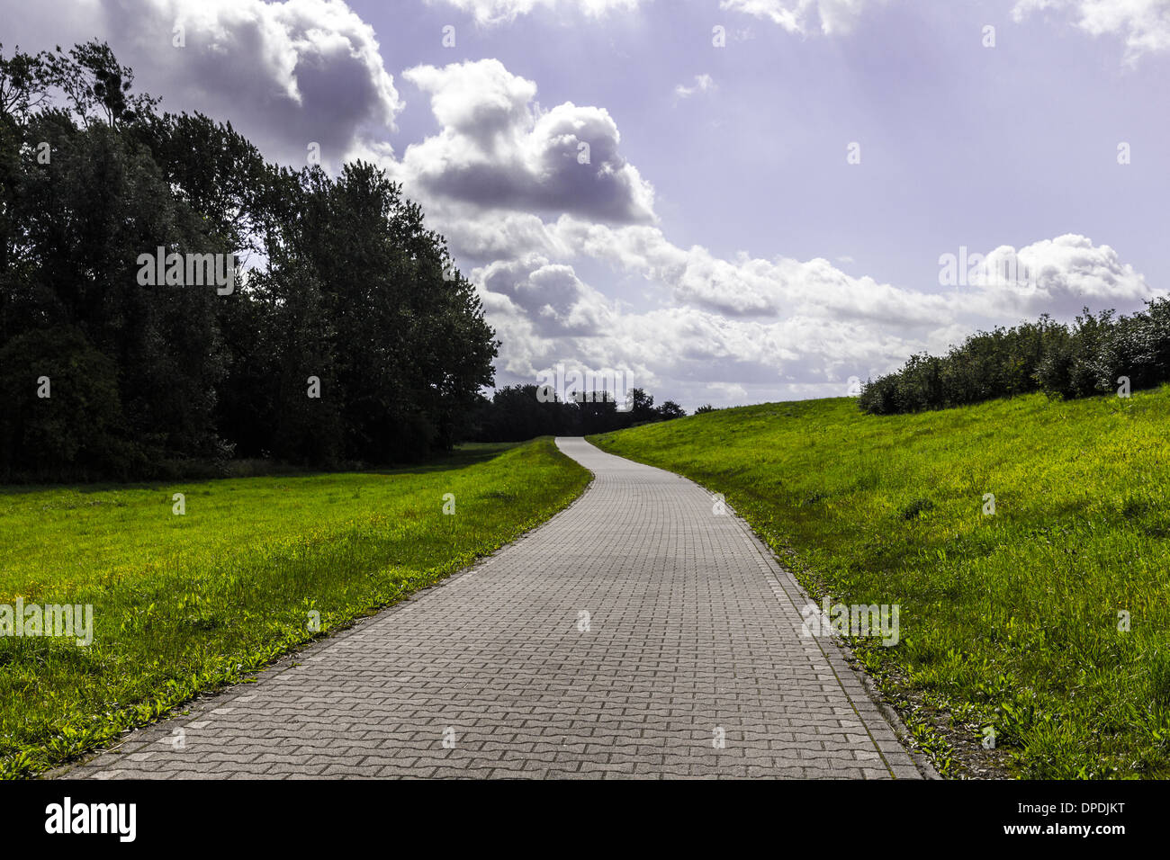 little road through green meadows in summer Stock Photo - Alamy
