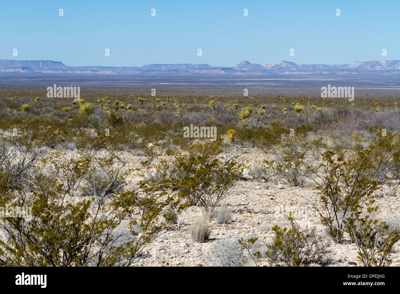 Padre island national park hi-res stock photography and images - Alamy