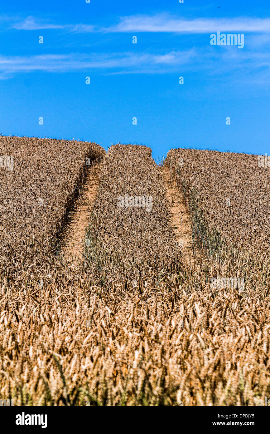 Side marks hi-res stock photography and images - Alamy