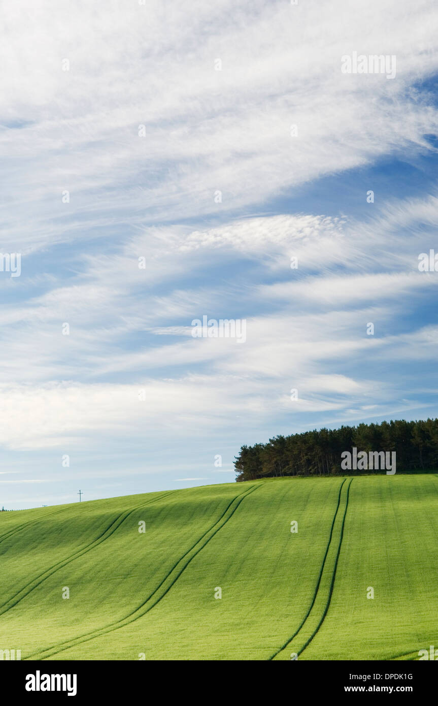 Farmland in Strathdon, Aberdeenshire, Scotland Stock Photo - Alamy