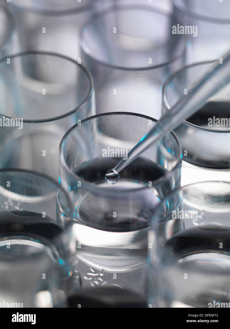 Pipetting sample into a multiwell sample tray Stock Photo - Alamy