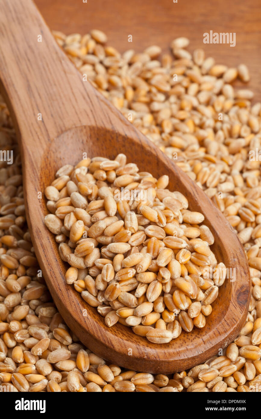 Raw wheat hi-res stock photography and images - Alamy