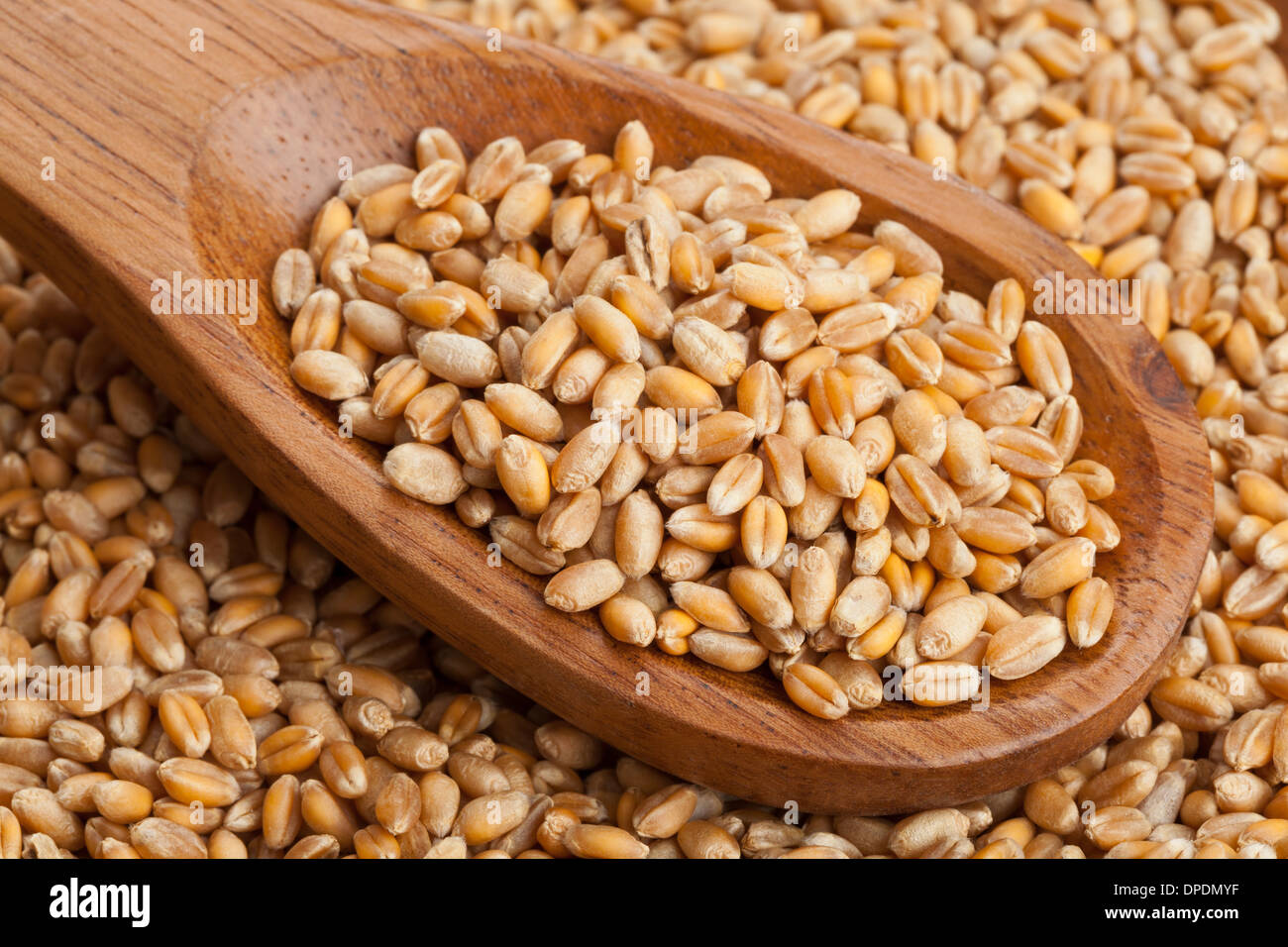 Wheat seeds hi-res stock photography and images - Alamy