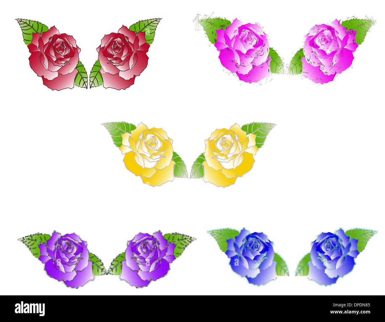 Pack Five Duos roses Stock Photo - Alamy