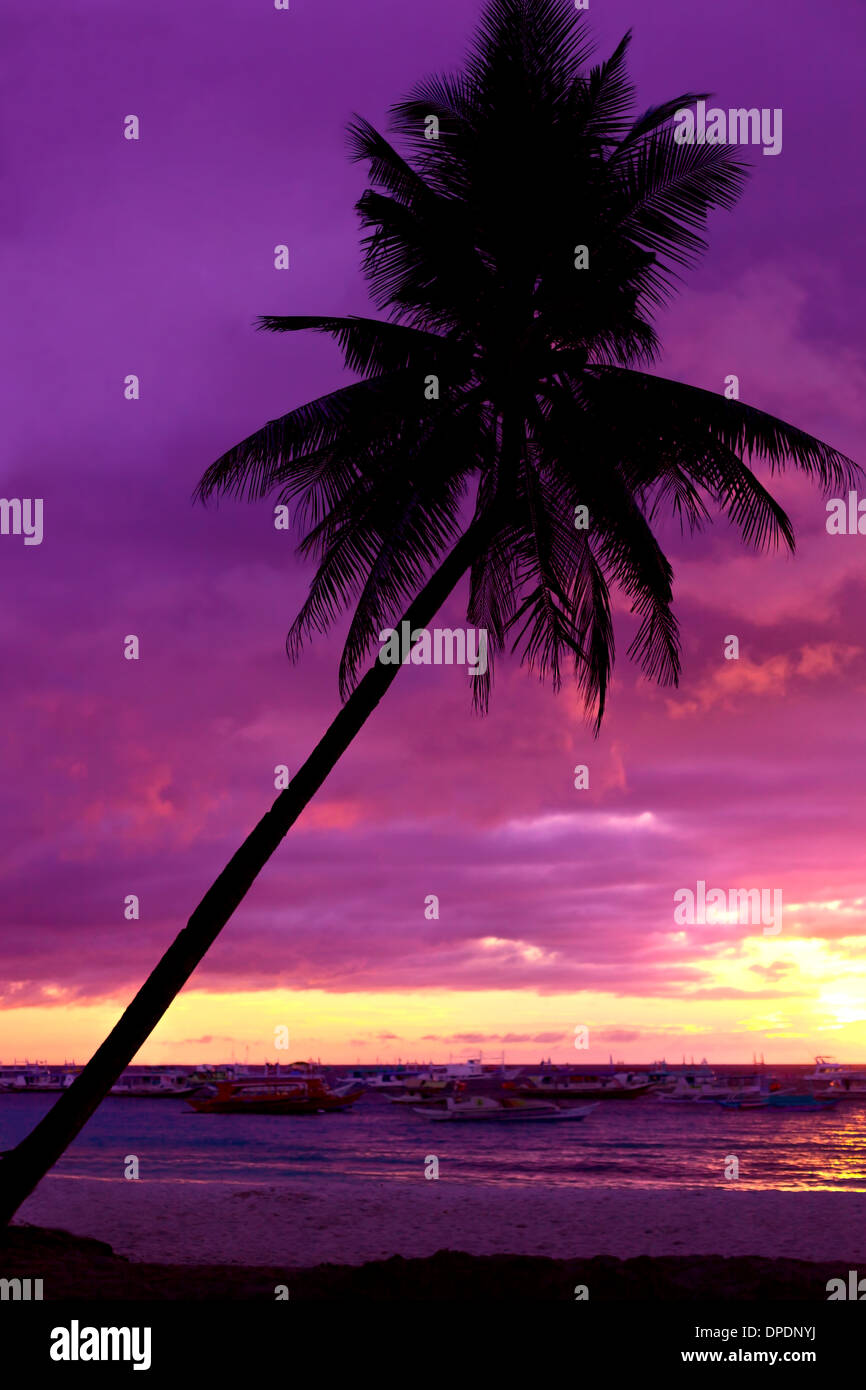 Colorful sunset on tropical beach with coconut palm trees Stock Photo ...