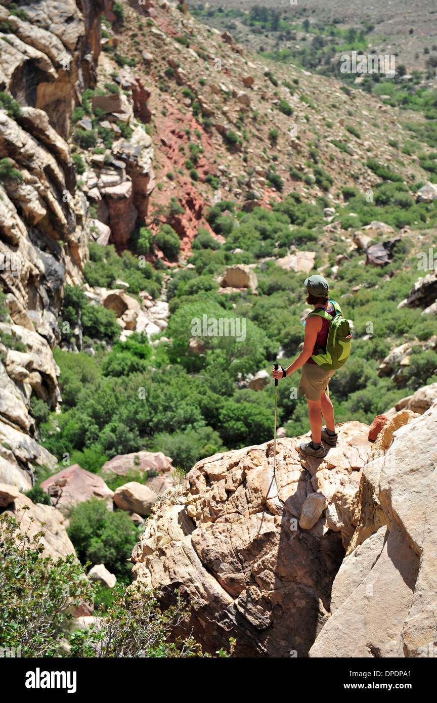 Nevada a remote spring in hi-res stock photography and images - Alamy