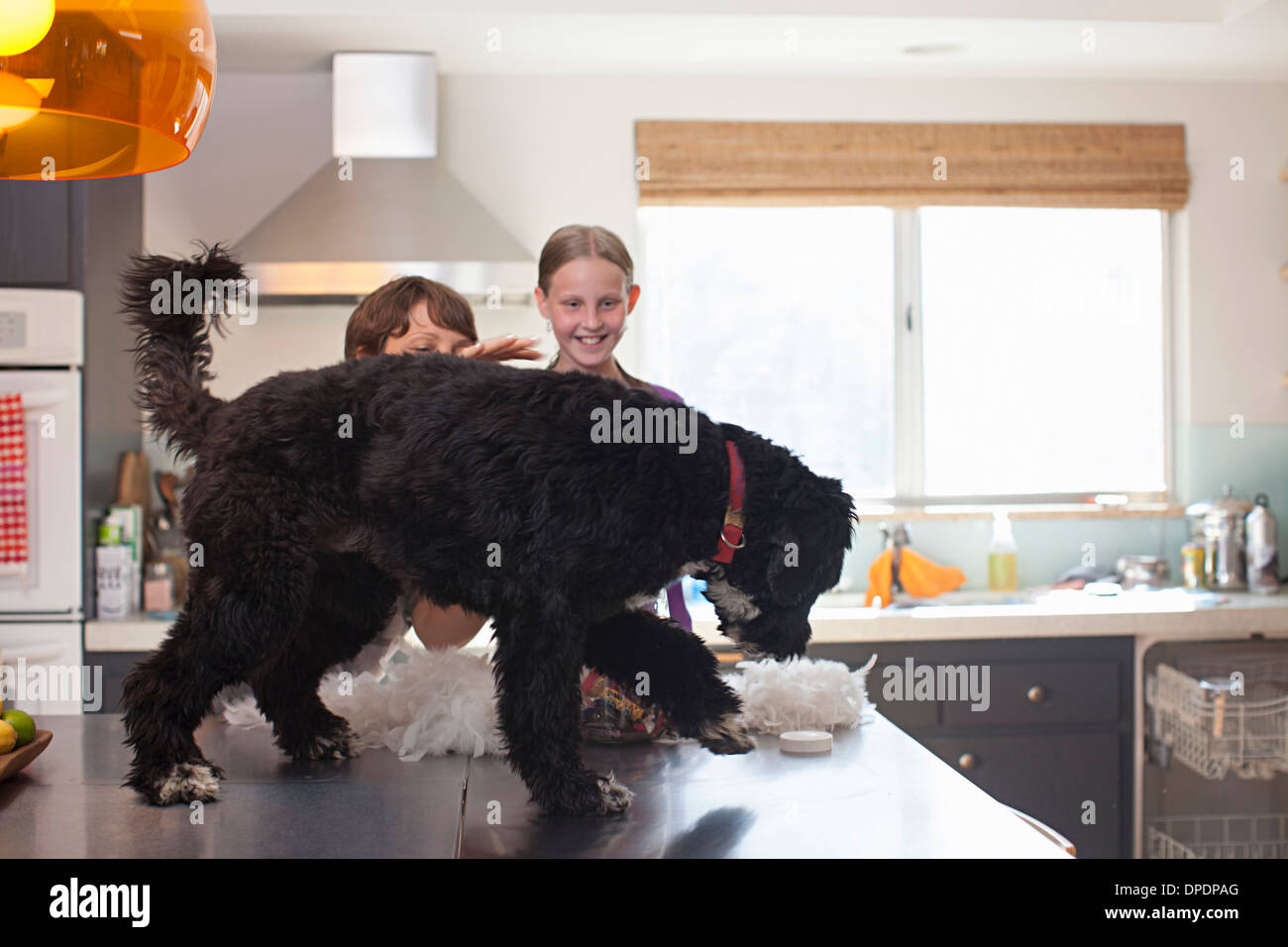 Playing counter hi-res stock photography and images - Alamy