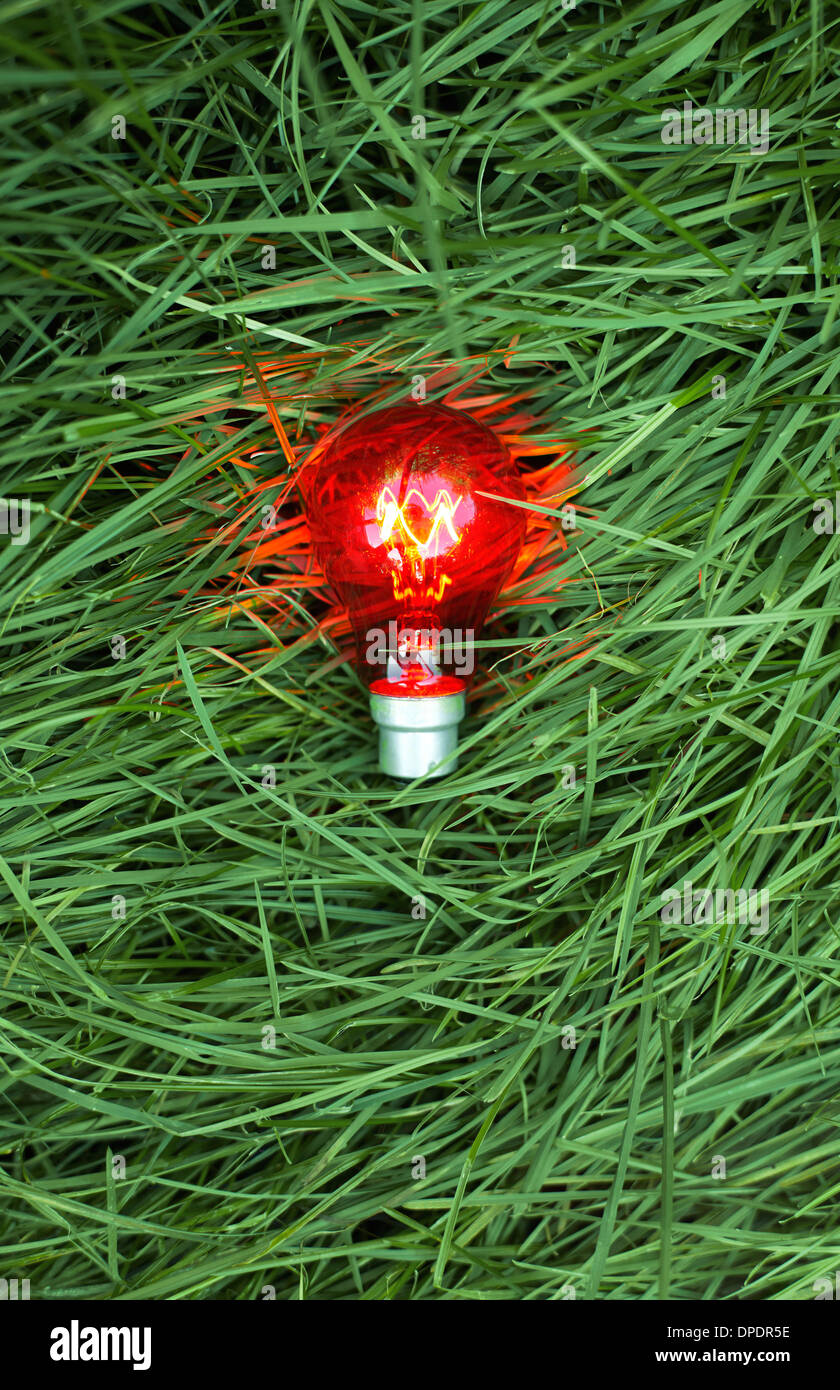 Still life grass hi-res stock photography and images - Alamy