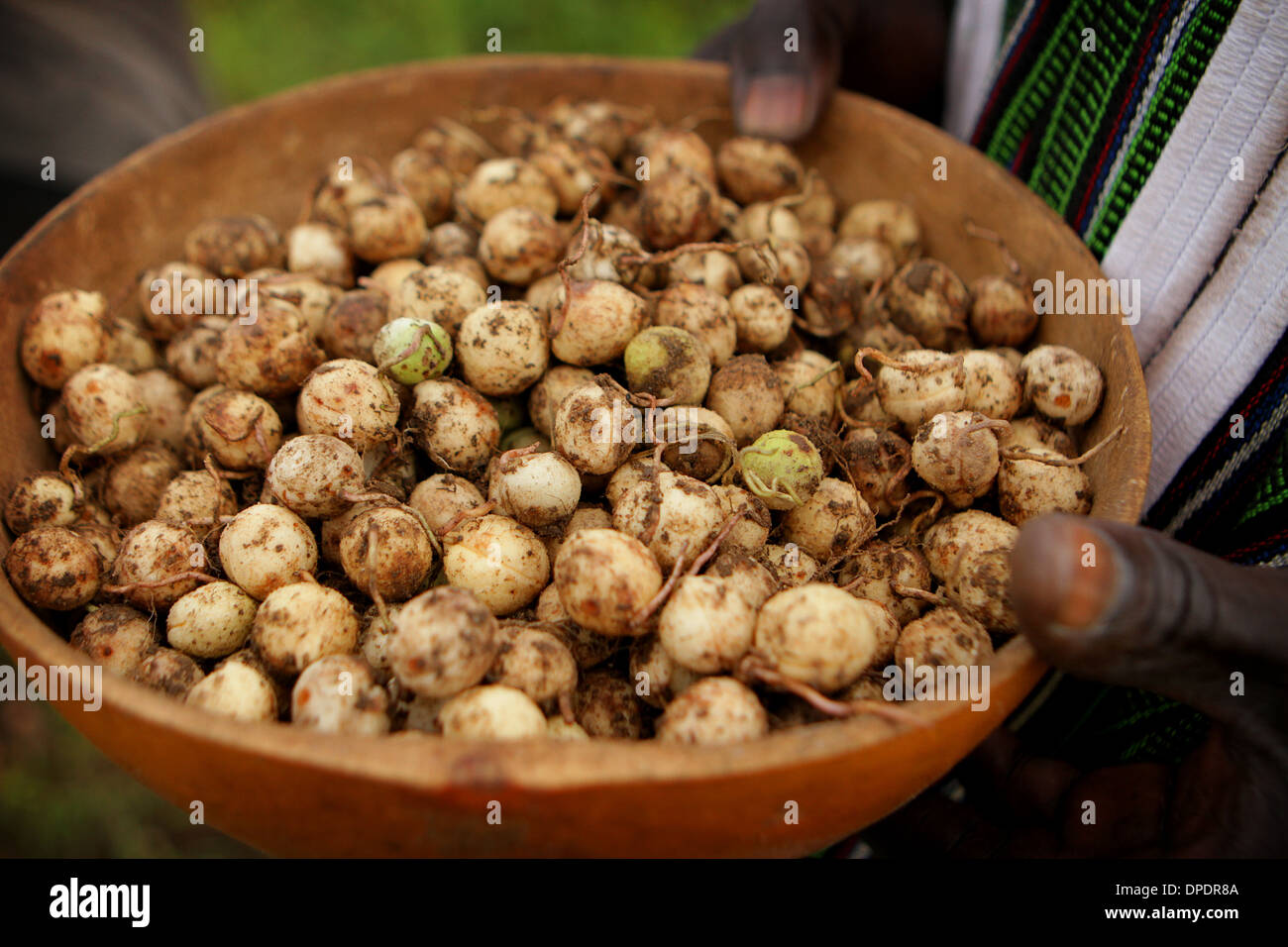 Ground nuts hi-res stock photography and images - Alamy