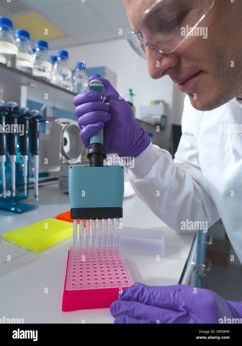 Male researcher using multi pipette in lab Stock Photo - Alamy