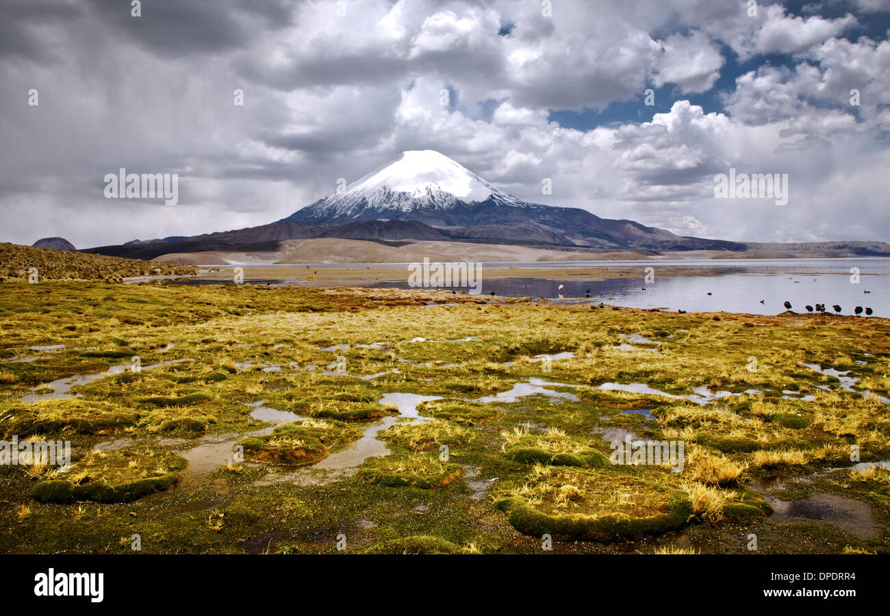 Volcano Parinacota and Lake Chungara, Lauca National Park, Altiplano ...