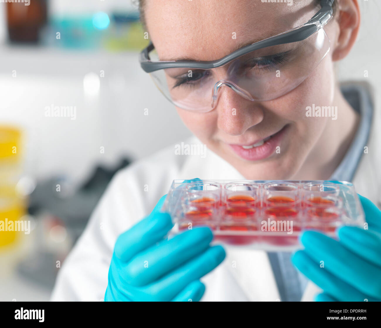 Female scientist examining stem cell cultures in laboratory Stock Photo ...