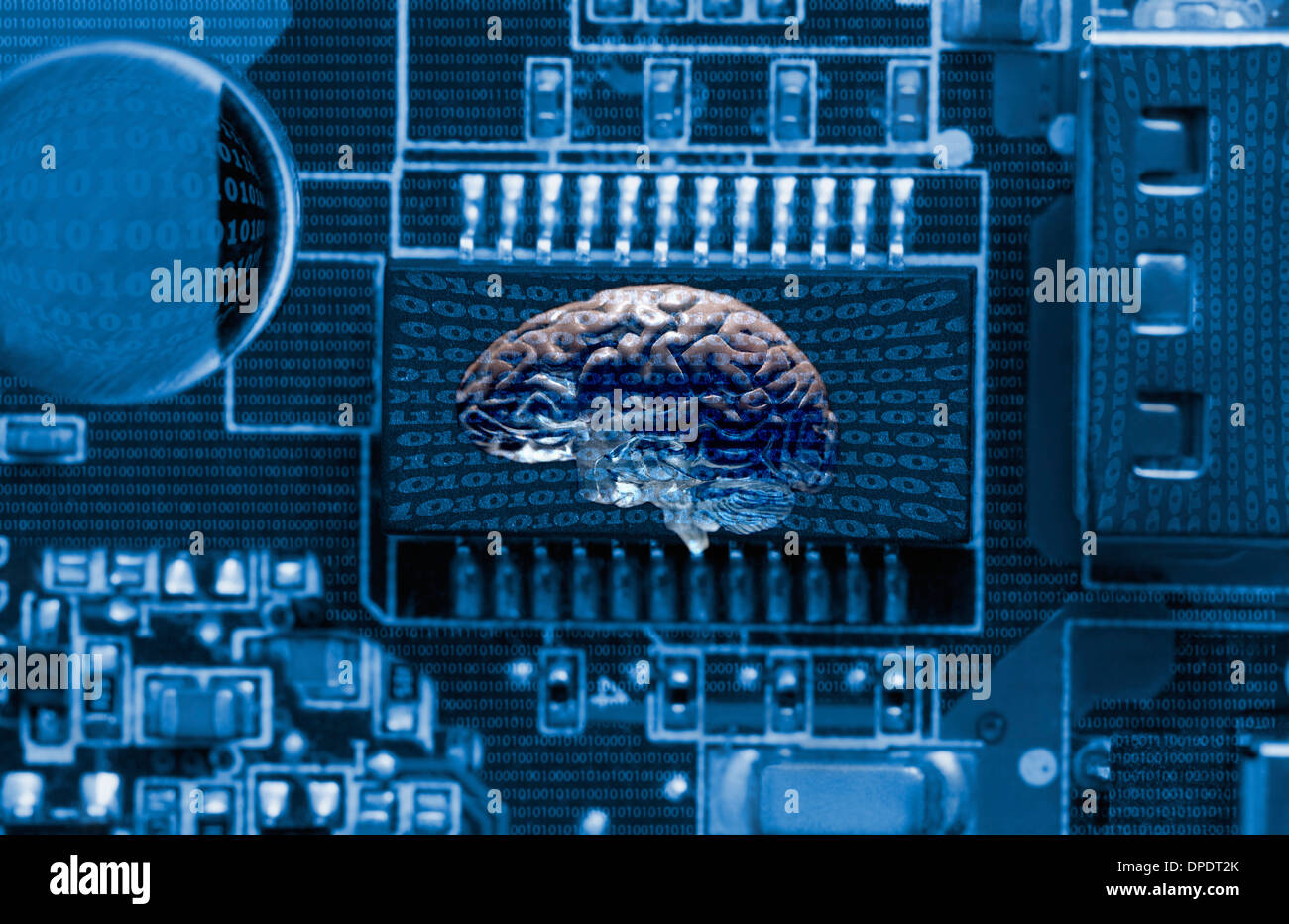 Studio shot brain data technology hi-res stock photography and images ...