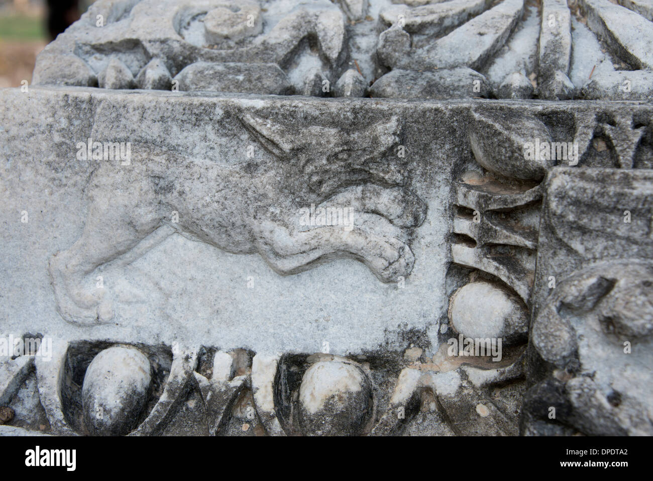 Turkey, Kusadasi, Ephesus. Detail of carved marble ruins with animal ...