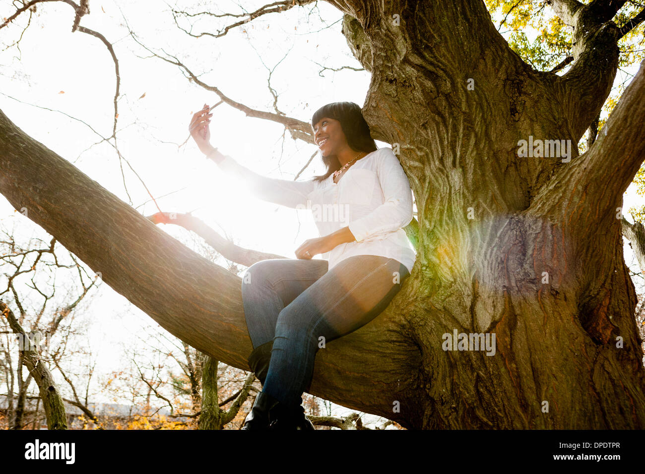 Young woman taking self portrait whilst sitting in park tree Stock ...