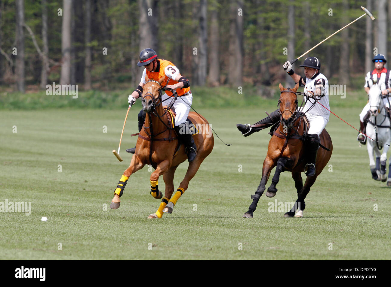 Polo players in action, Polo Cup at Gut Basthorst 2013, Germany Stock ...