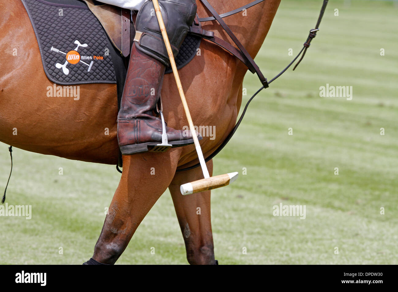 Polo mallet hi-res stock photography and images - Alamy