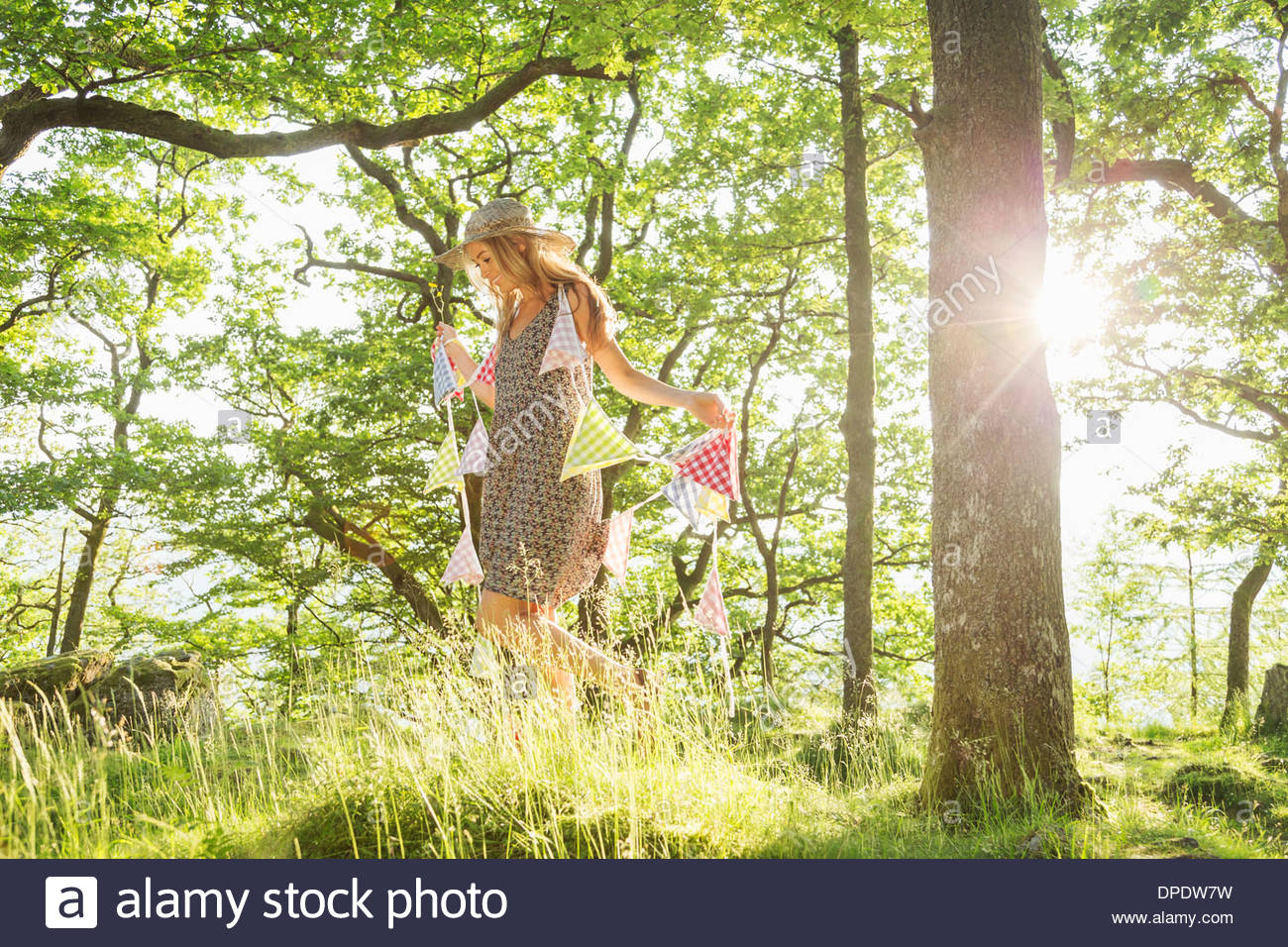 White Bunting High Resolution Stock Photography and Images - Alamy