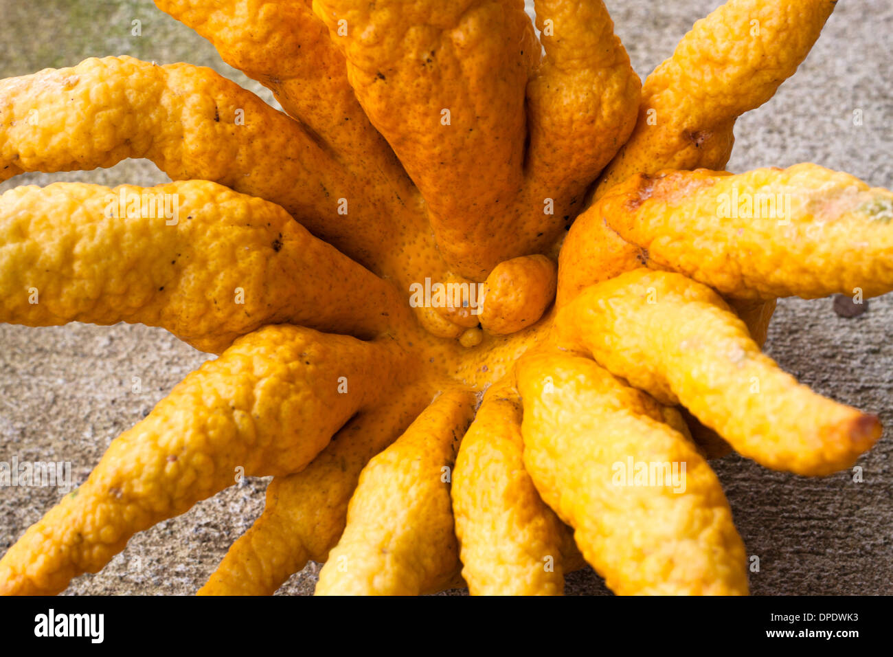 Buddha's hand citron fruit Stock Photo - Alamy