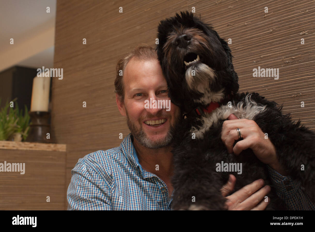 Dog looking up at man hi-res stock photography and images - Alamy