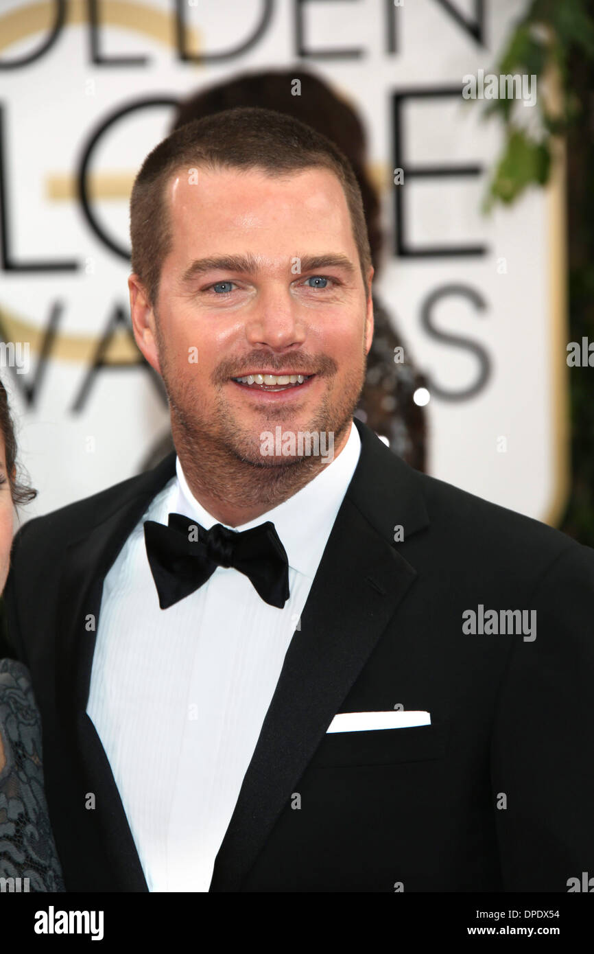 Los Angeles, USA. 11th Jan, 2014. US actor Chris O'Donnell attends the ...