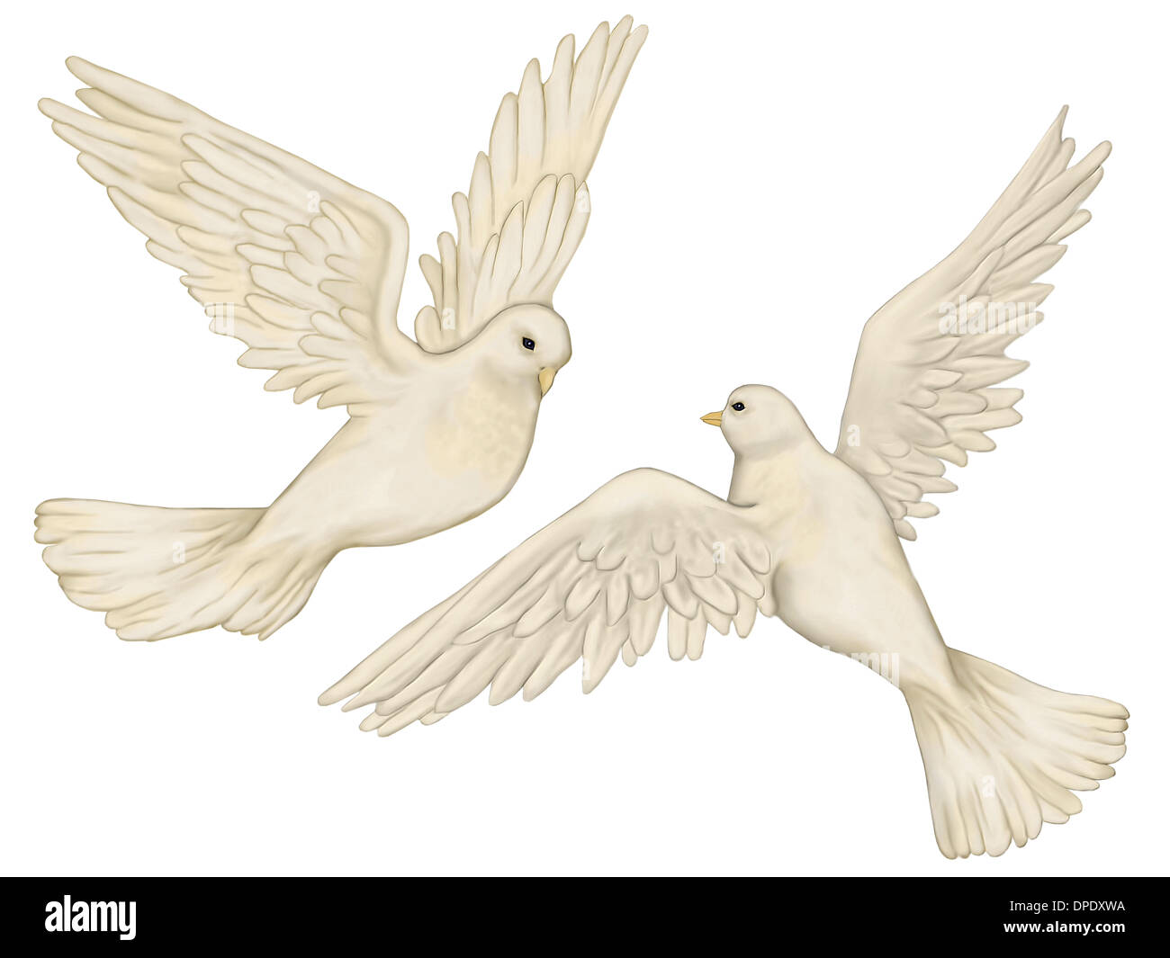 Two doves image hi-res stock photography and images - Alamy Two doves image hi-res stock photography and images - Alamy