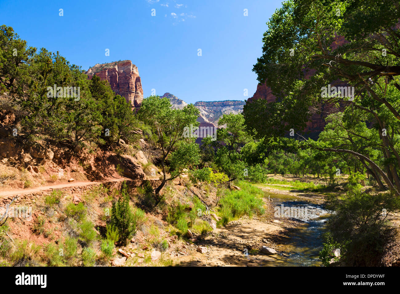 The Virgin River at the Grotto Trailhead, Zion Canyon, Zion National ...