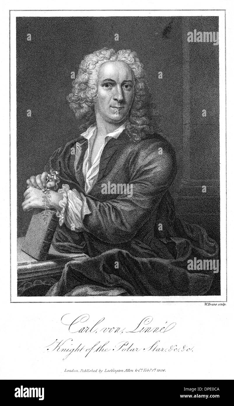 Linnaeus hi-res stock photography and images - Alamy