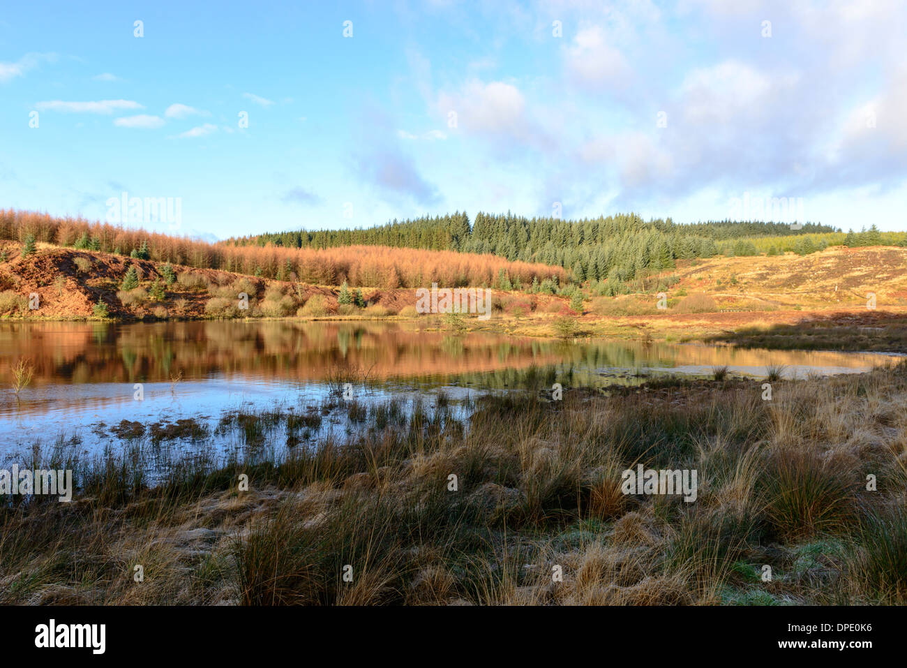 Kielder forest hi-res stock photography and images - Alamy
