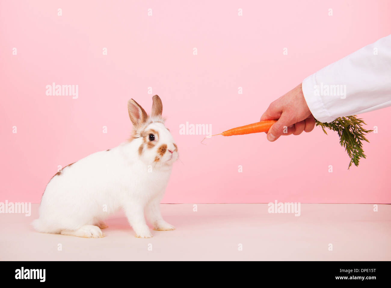 Doctor carrot hi-res stock photography and images - Alamy