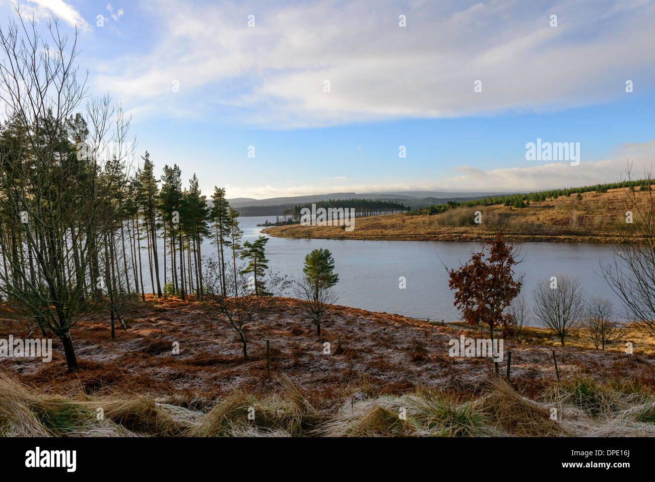 Kielder hi-res stock photography and images - Alamy