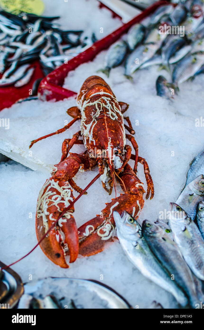 Lobster on sale at a market stall Stock Photo - Alamy