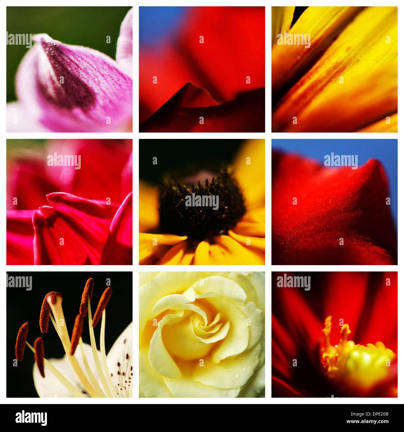 Composition of roses, lilies and orchid flowers Stock Photo - Alamy